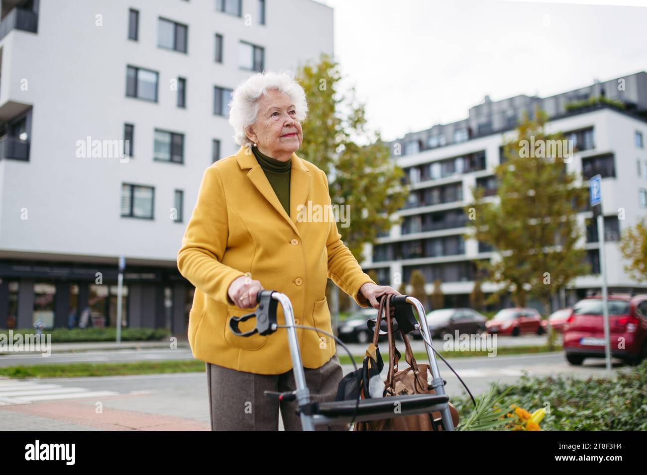 Seniorin mit einem Gehhilfen, der am Herbsttag auf den Straßen der ...