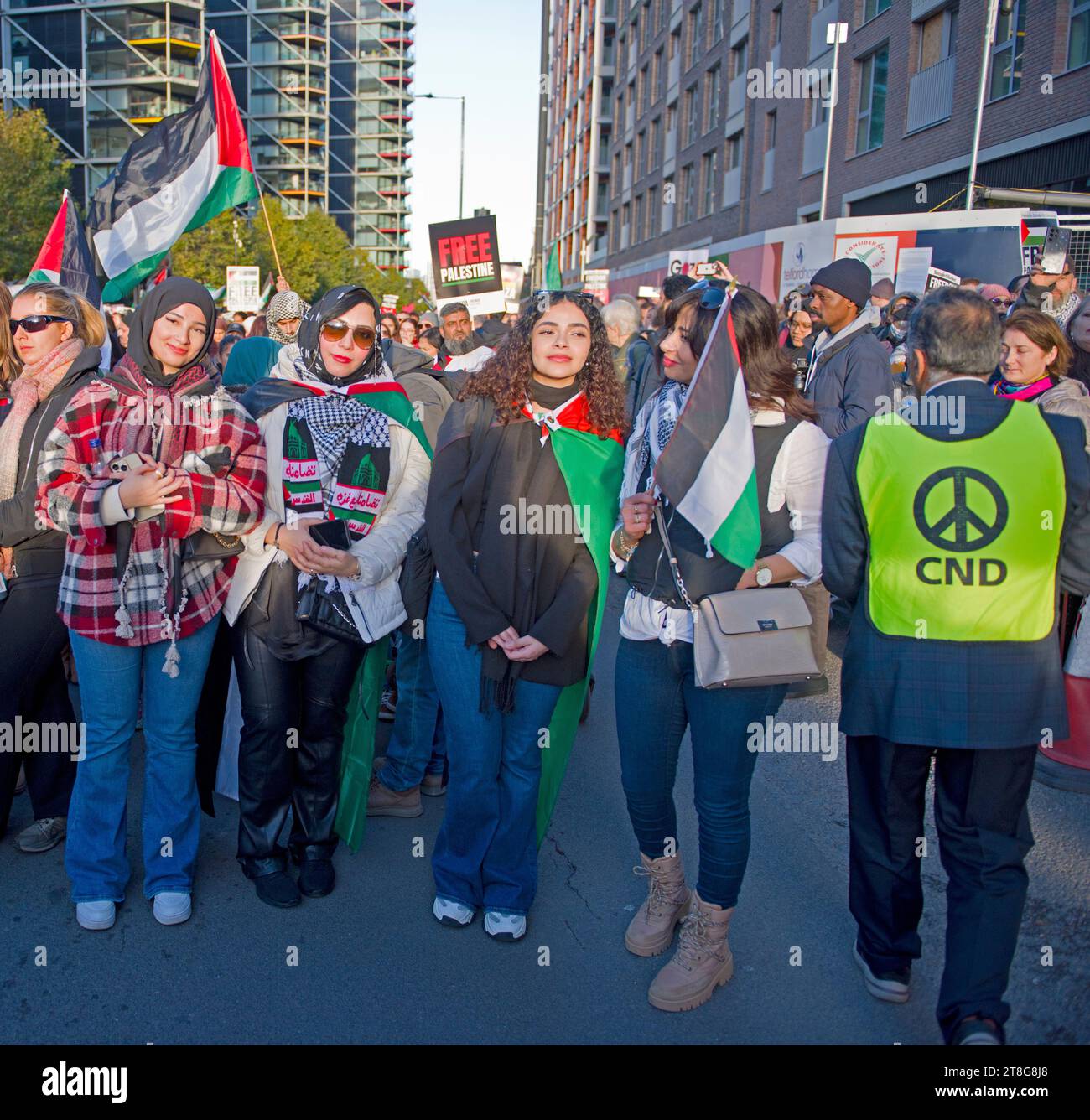 Teilnehmer des protestmarsches vom 11. November gegen die israelische ...