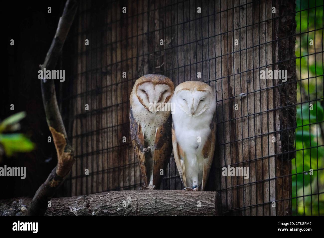 12.11.2023, Poing, DE, unterwegs in Deutschland, Fototermin, Themenbild, Verschiedene ...