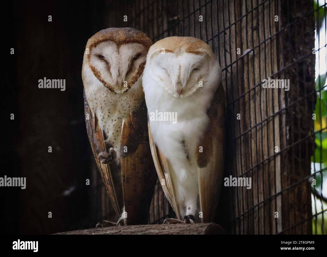 12.11.2023, Poing, DE, unterwegs in Deutschland, Fototermin, Themenbild, Verschiedene ...