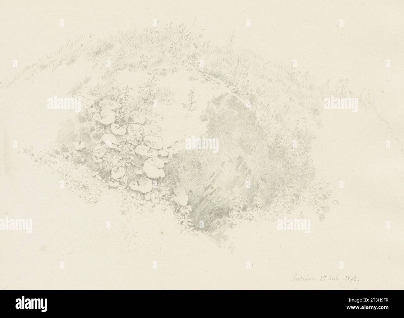 CARL THEODOR REIFFENSTEIN, Stück Weide mit Fels bei Seeheim, 25. Juli ...