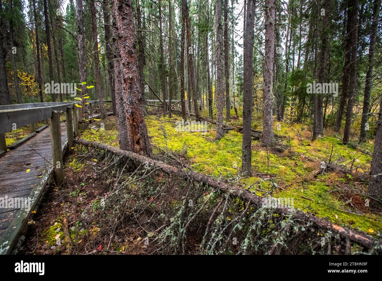 Erkunden sie saskatchewan -Fotos und -Bildmaterial in hoher Auflösung ...