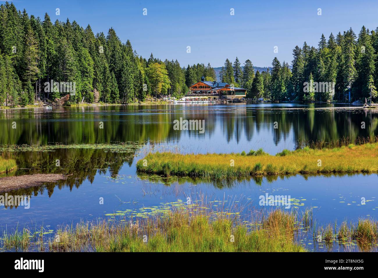 Bayerisch eisenstein -Fotos und -Bildmaterial in hoher Auflösung – Alamy