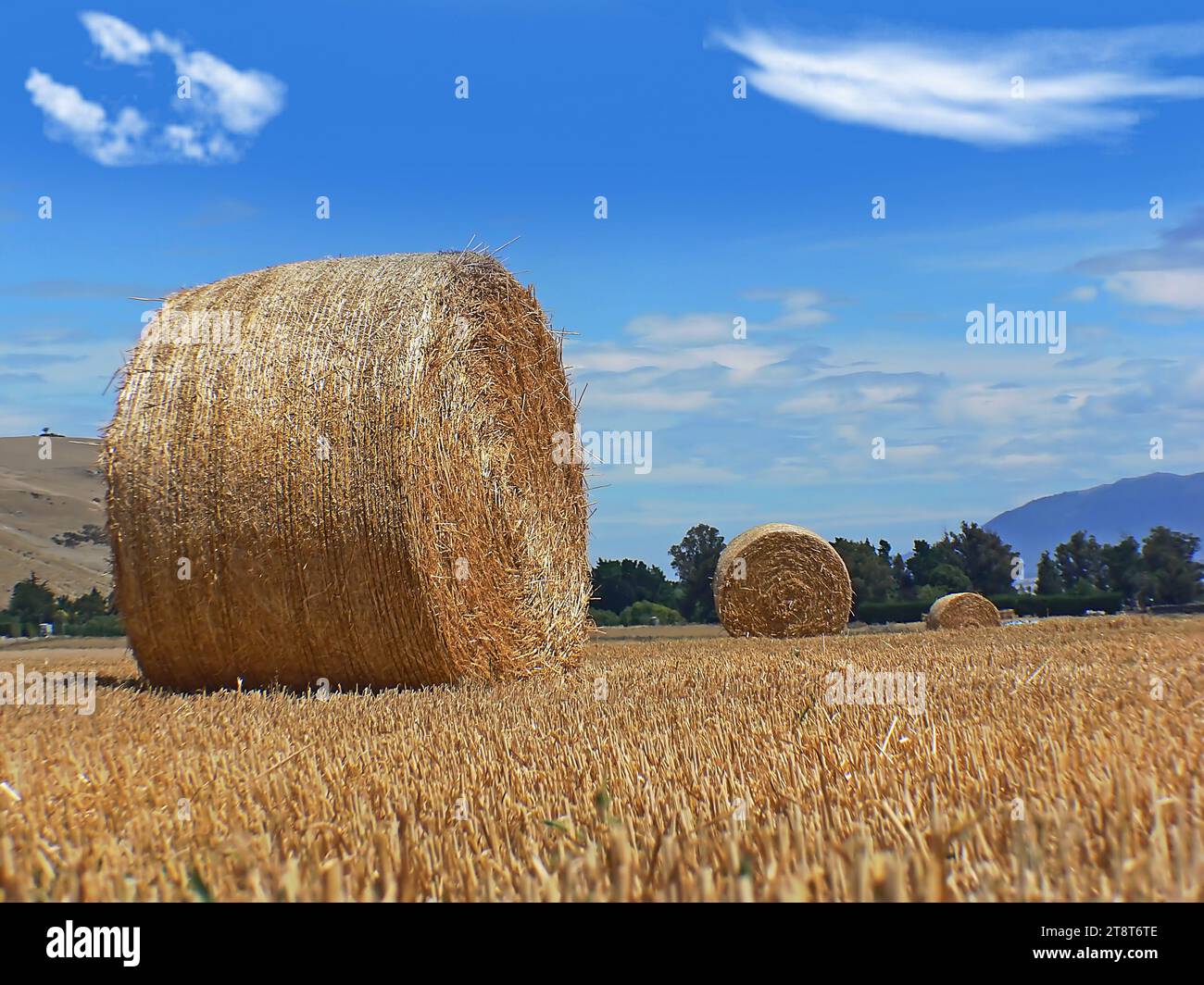 Er hat alle informiert -Fotos und -Bildmaterial in hoher Auflösung – Alamy