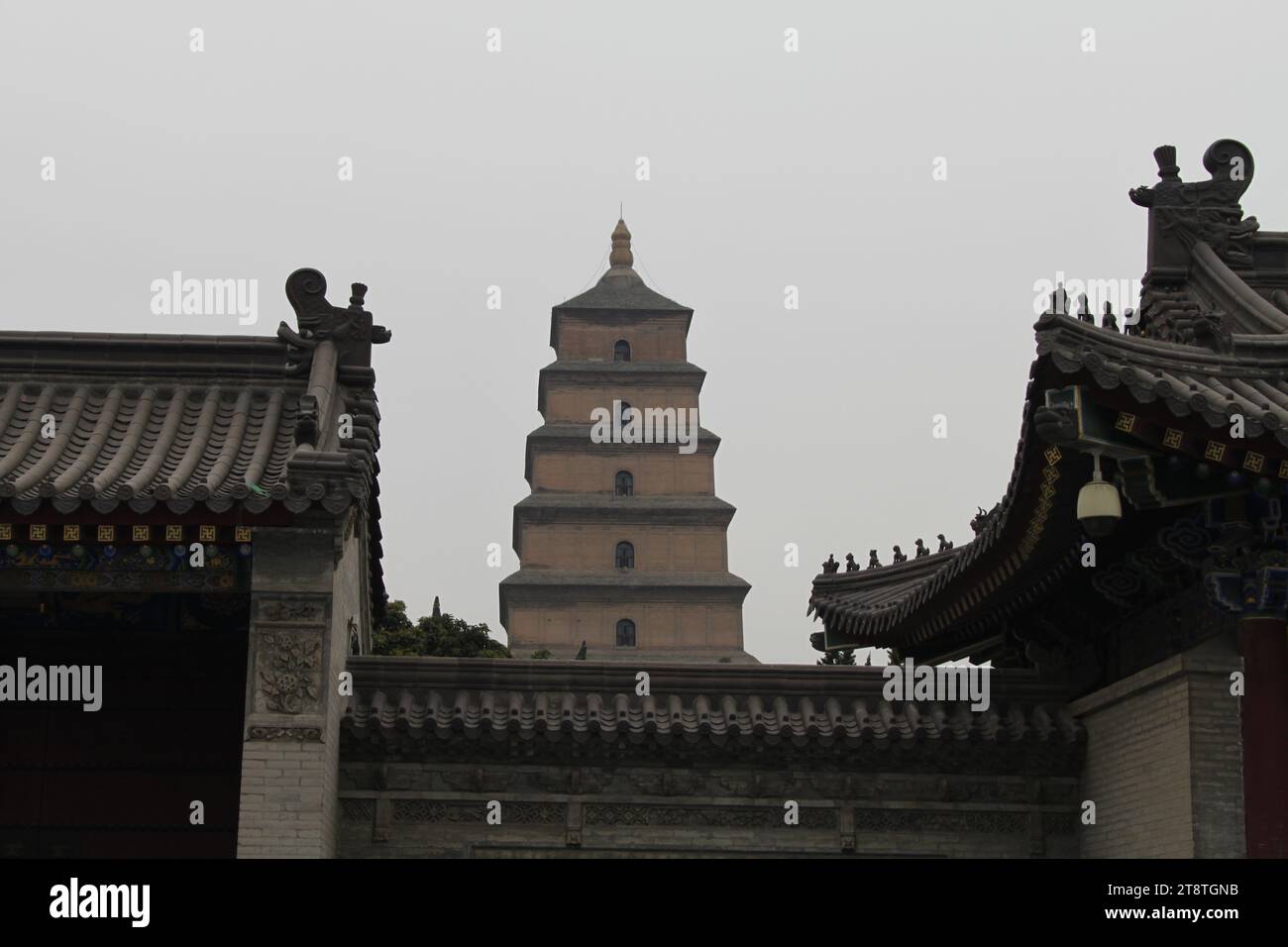 China besuch -Fotos und -Bildmaterial in hoher Auflösung – Alamy