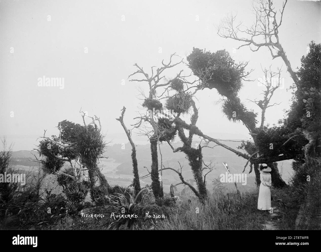 Laingholm punkt -Fotos und -Bildmaterial in hoher Auflösung – Alamy
