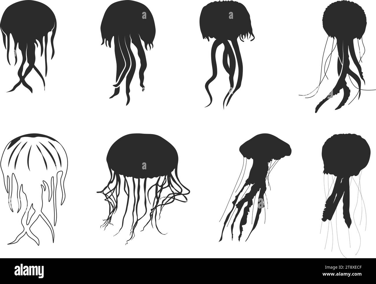 Quallen-Silhouette, Quallen-Vektor, Quallen-Symbol-Set, Quallen-Clipart ...