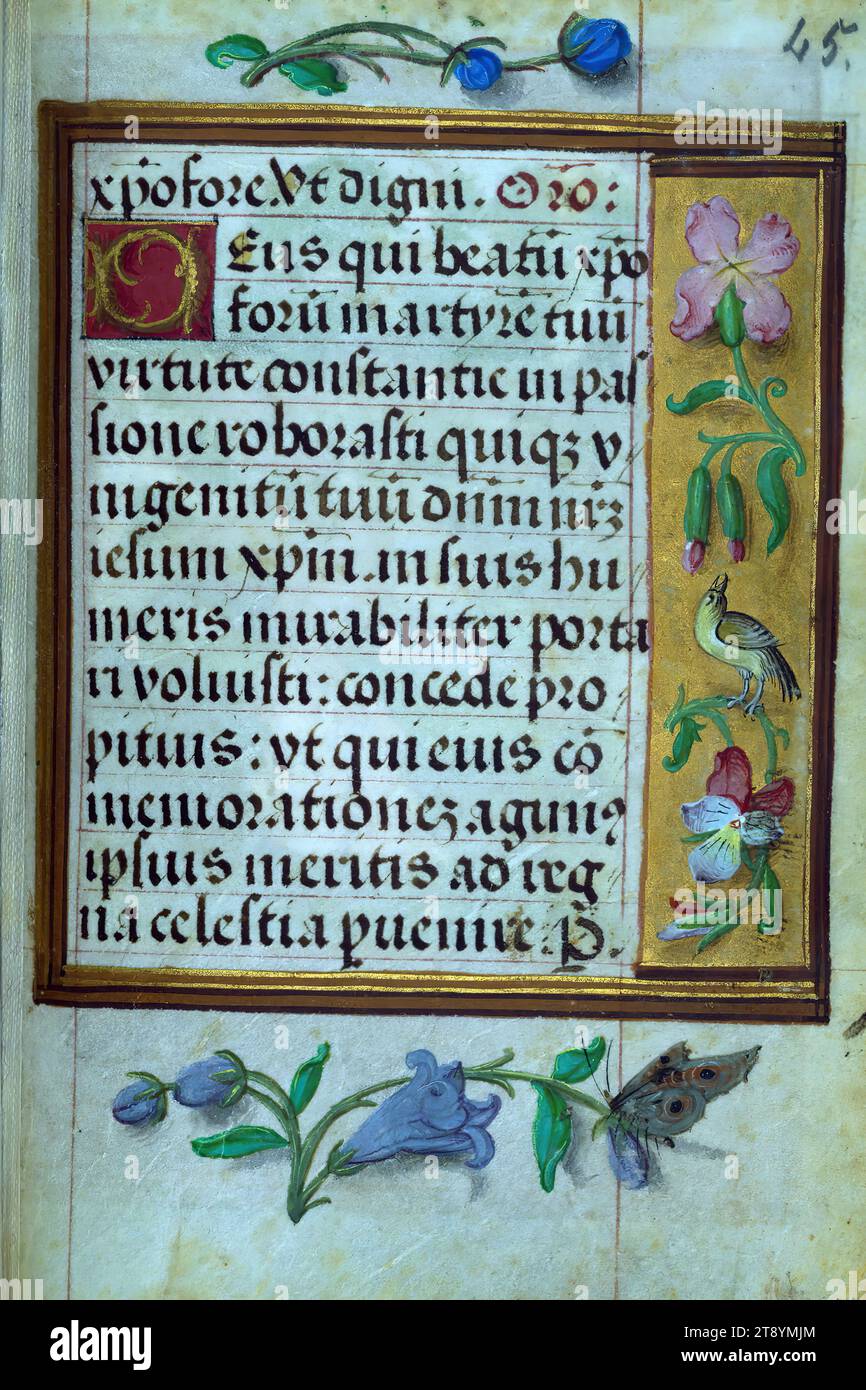 Gebetsbuch (Fragment), dekorierte Initiale, dieses Gebetsbuch entstand ca. 1520-30 ...