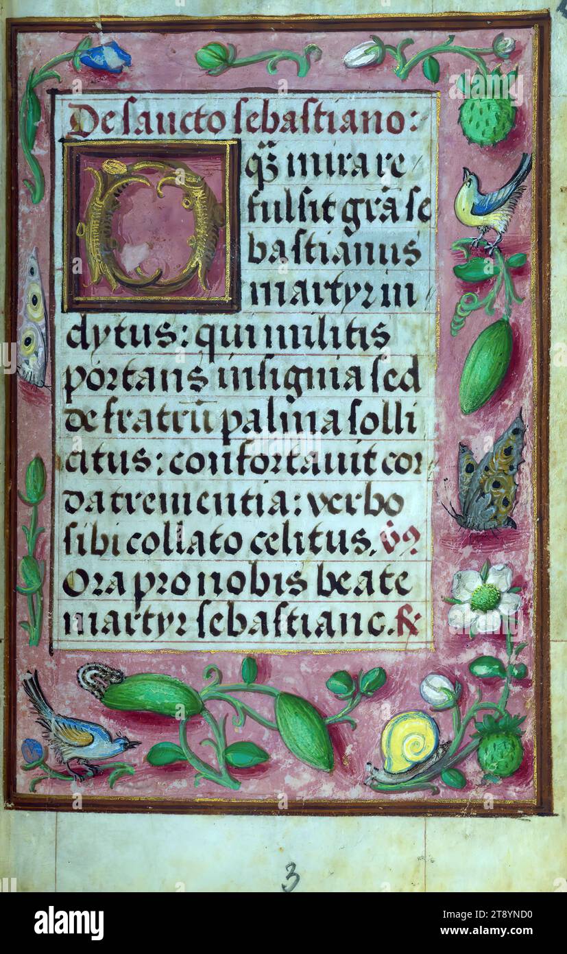 Gebetsbuch (Fragment), dekorierte Initiale, dieses Gebetsbuch entstand ca. 1520-30 ...
