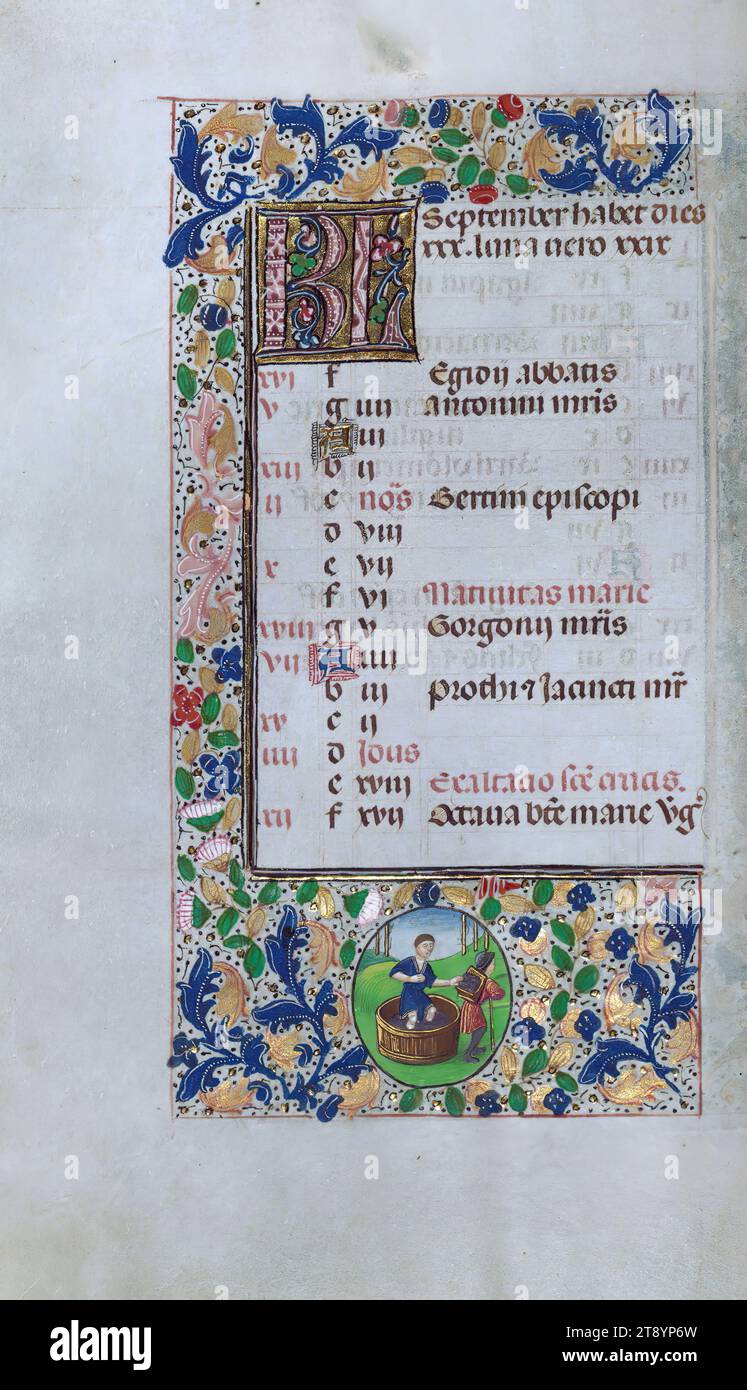 Trampling grapes -Fotos und -Bildmaterial in hoher Auflösung – Alamy