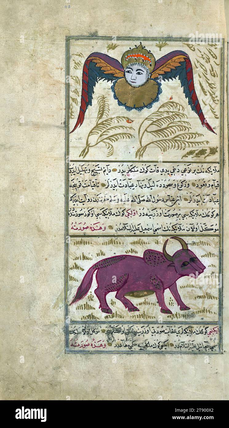 Türkische Version der Wunder der Schöpfung, zwei Engel, dies ist eine osmanische beleuchtete und ...