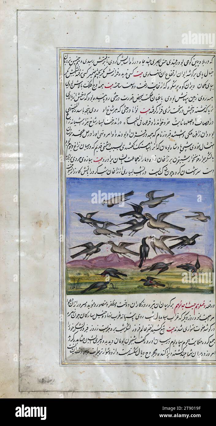 Die Lichter von Canopus, Eulen kämpfen Krähen, dies ist eine ...