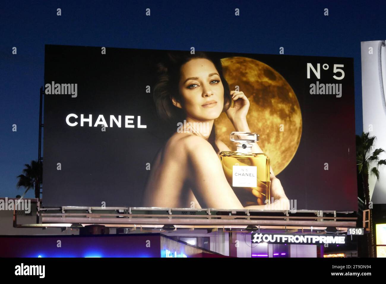 23. November 2023 Marion Cotillard Chanel No., 5 Reklametafel am Sunset Blvd am 22. November ...