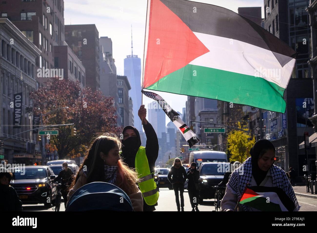 New York City, NY, USA. November 2023. Pro-palästinensische und pro ...