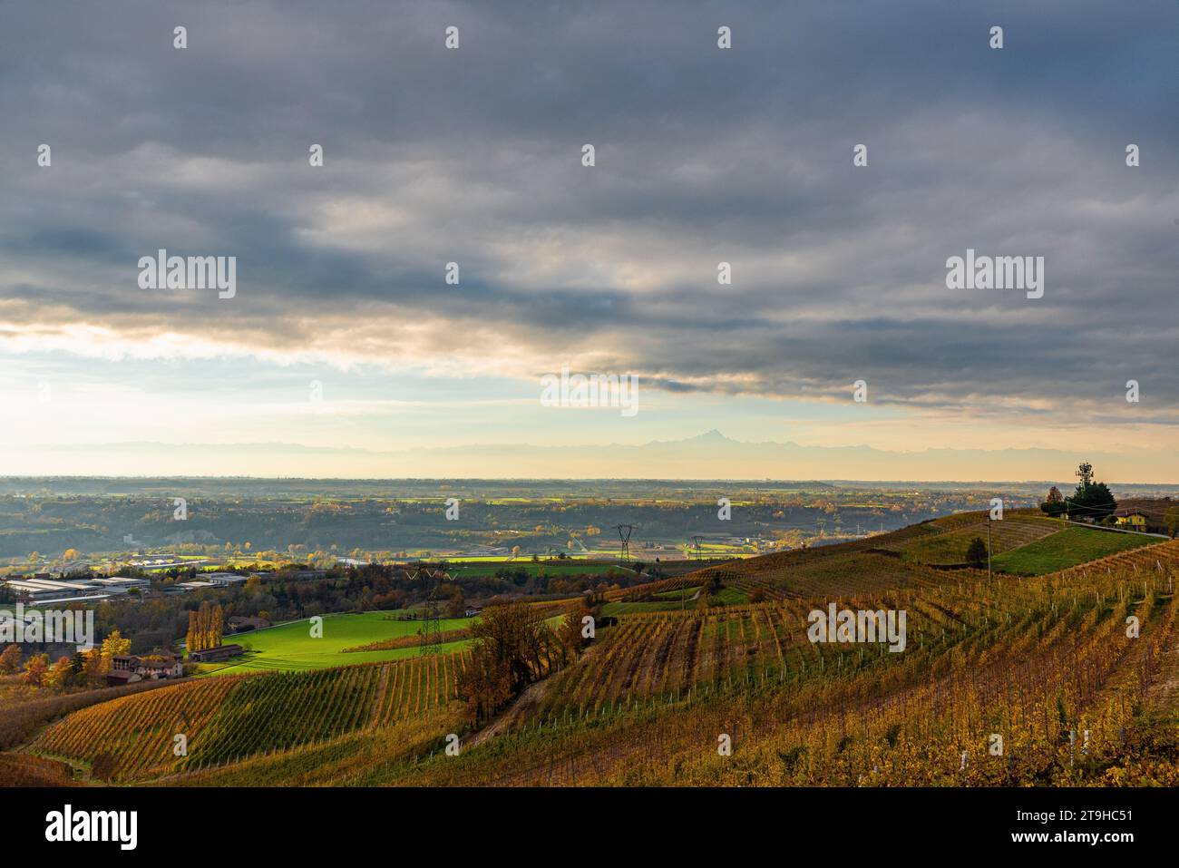 Die Hügel der Langhe, eine atemberaubende Weinlandschaft, gehören seit ...