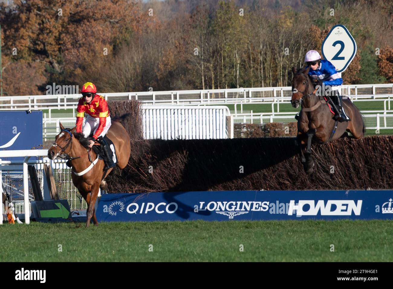 Ascot, Berkshire, Großbritannien. 25h November 2023. Horse PIC D’Orhy ...