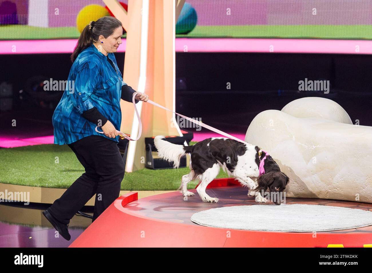 Offenburg Wetten, dass., Offenburg 2023 ZDF-Fernsehsendung Wetten, dass ...