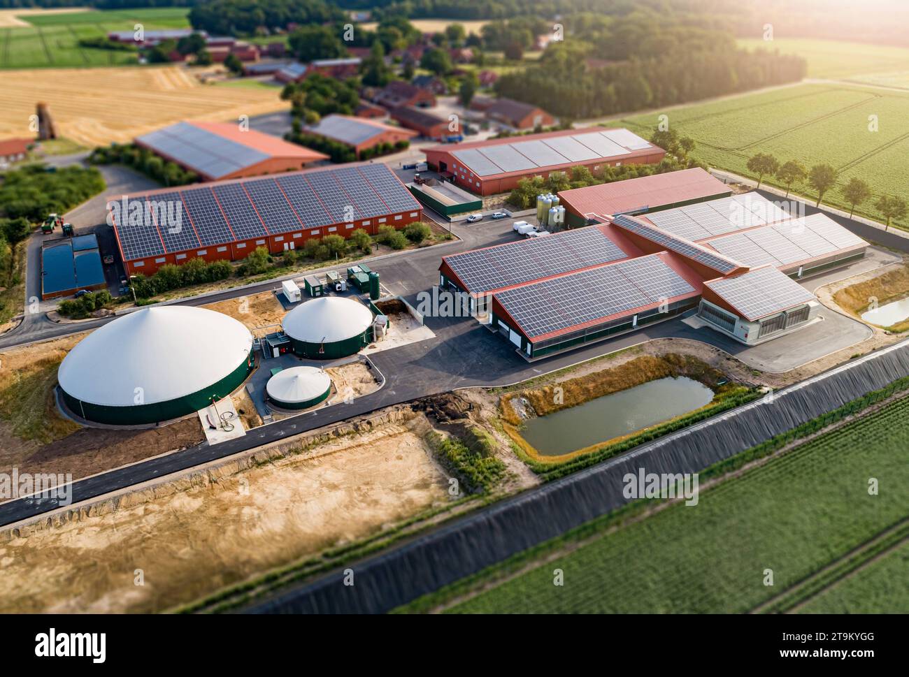 Luftaufnahme von einem Tierwohl - Schweinemastanlage mit Photovoltaik ...