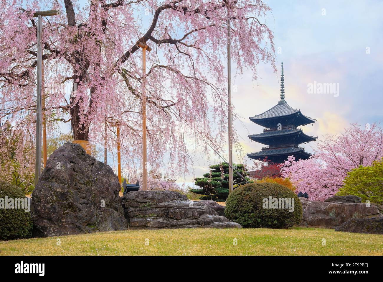 Kyoto, Japan – März 31 2023: Der Toji-Tempel wurde zu Beginn der Heian ...