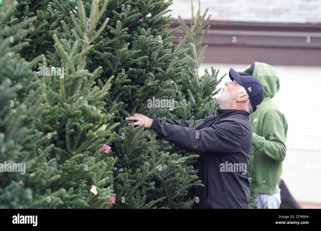 26 novembre 2023 -Fotos und -Bildmaterial in hoher Auflösung – Alamy
