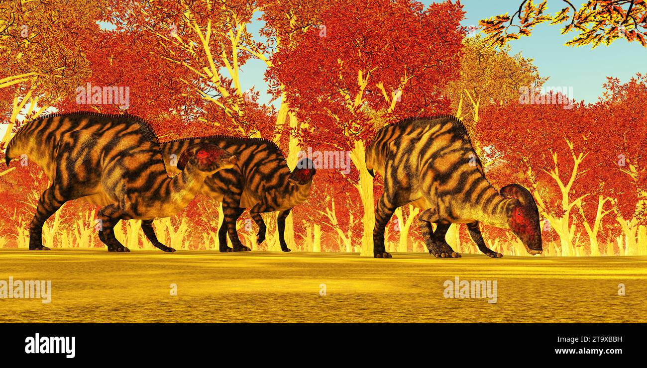 Parasaurolophus war ein pflanzenfressender Hadrosaurier-Dinosaurier in ...