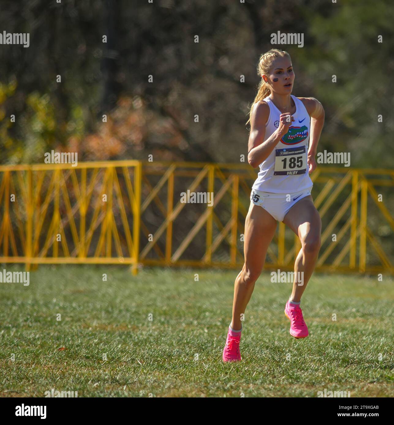 Parker valby -Fotos und -Bildmaterial in hoher Auflösung – Alamy