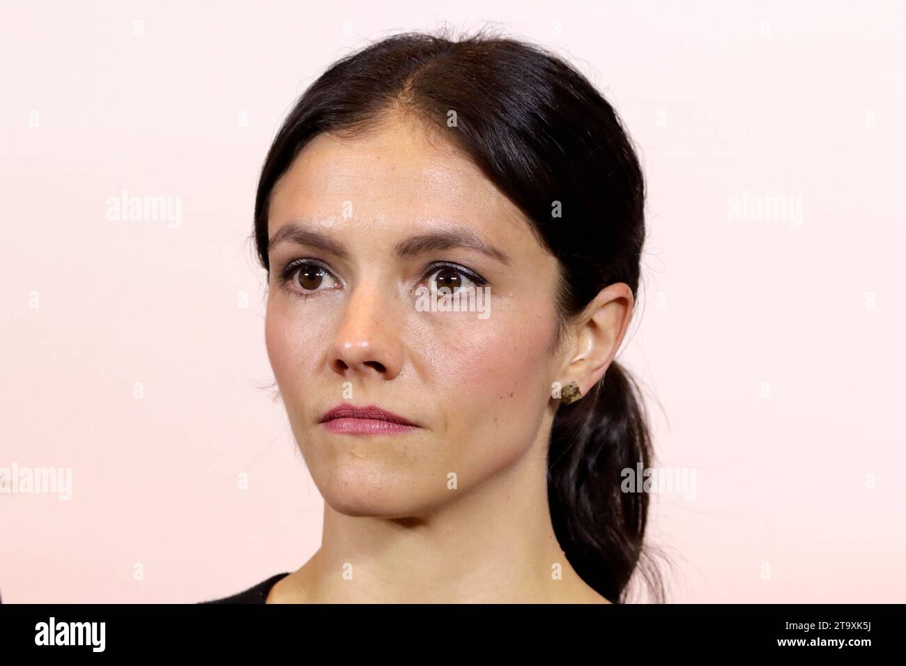 Mexiko-Stadt, Mexiko. November 2023. 27. November 2023, Mexiko-Stadt ...