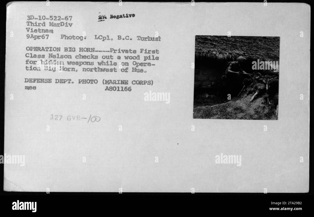 Private First Class Nelson, die während der Operation Big Horn eine ...