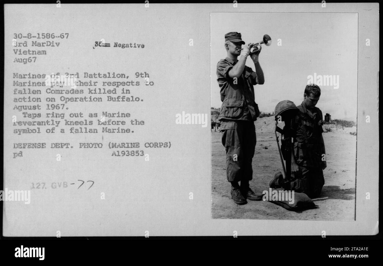 Marines des 3. Bataillons, 9. Marines in Vietnam, im August 1967, erweisen gefallene Kameraden ...