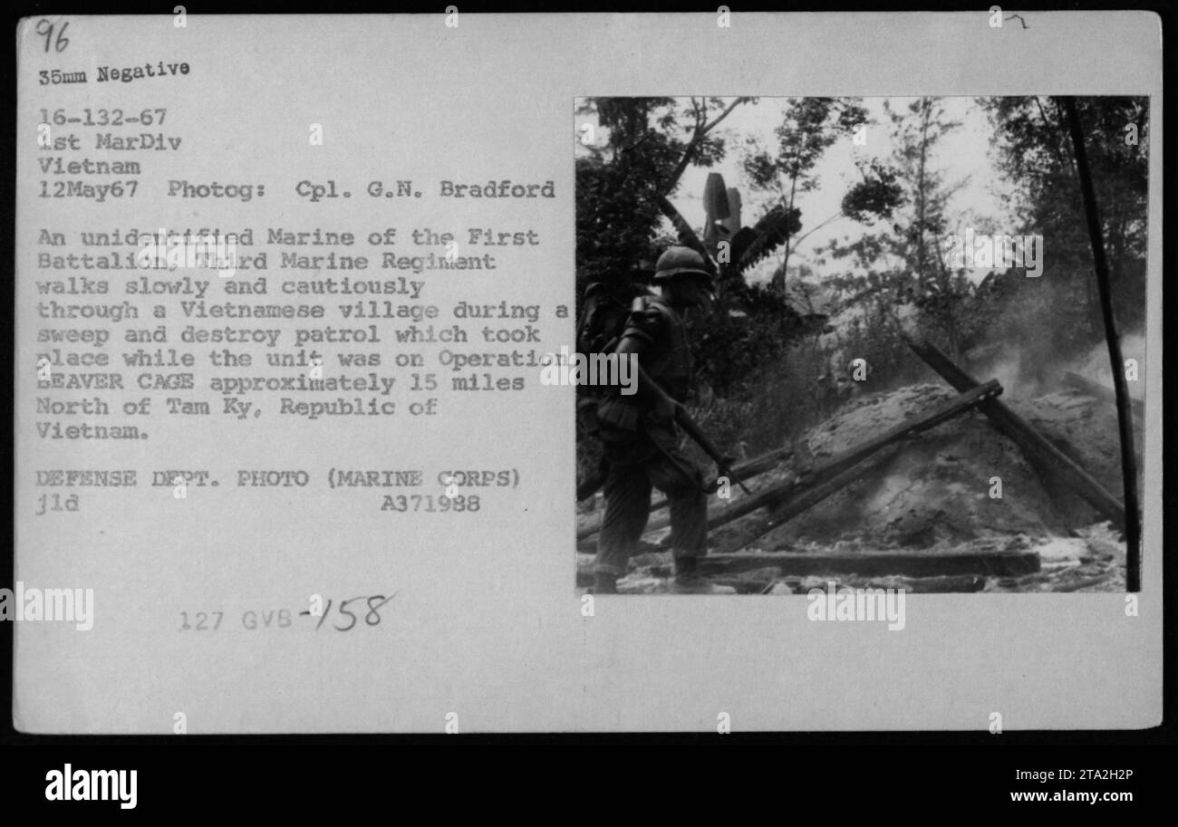 Unbekannter Marine des Ersten Bataillons, des Dritten Marine-Regiments ...