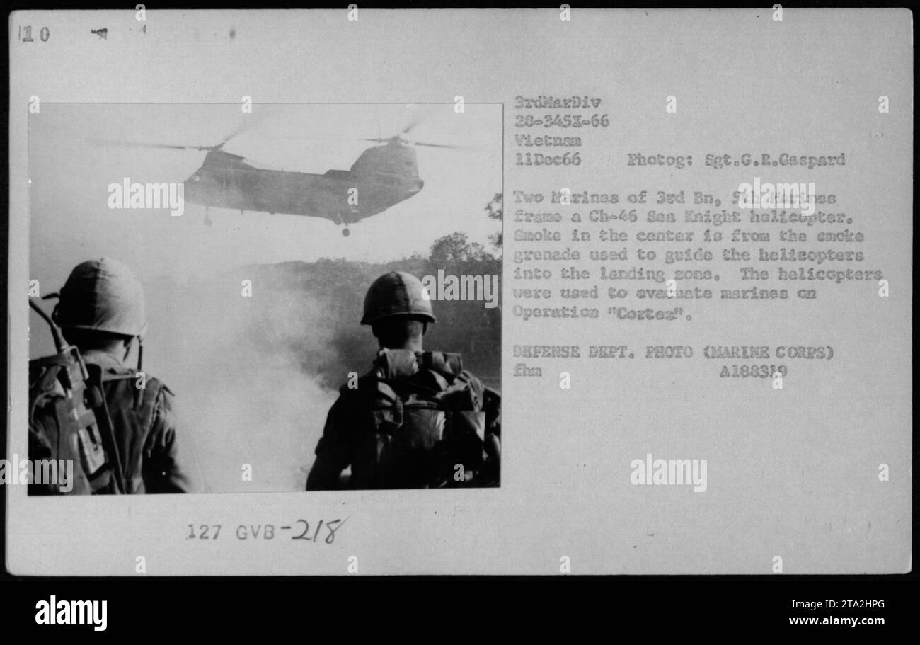 Ein Foto, das am 11. Dezember 1966 aufgenommen wurde, zeigt zwei ...