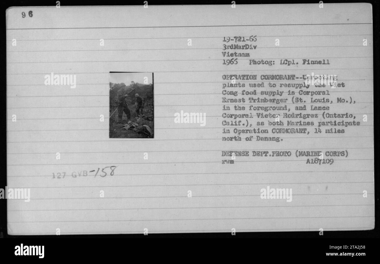 Marines Corporal Ernest Trinberger und Lance Corporal Victor Rodrigraz beteiligen sich an der ...