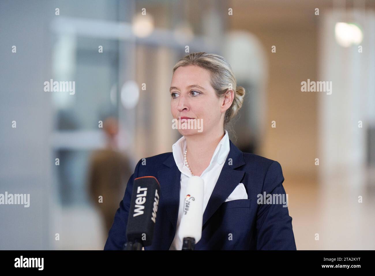 Alice Weidel, AfD, MDB Alice Weidel, AfD, MDB im Bundestag Berlin ...