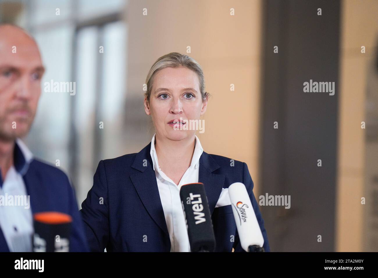 Alice Weidel, AfD, MDB Alice Weidel, AfD, MDB im Bundestag Berlin ...