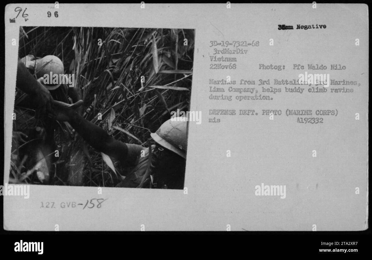 Pfe waldo nilo -Fotos und -Bildmaterial in hoher Auflösung – Alamy