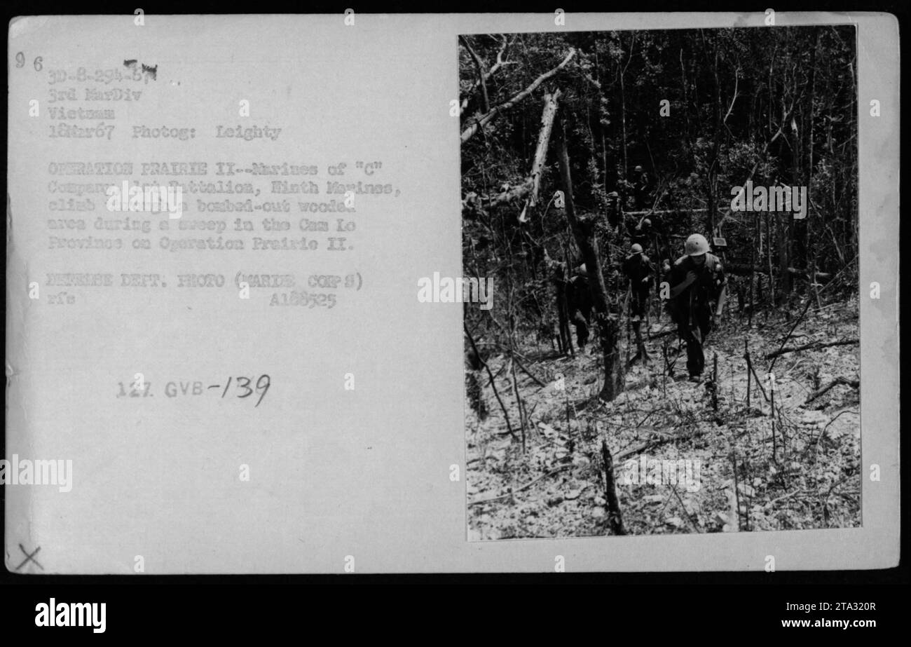 Minth marines -Fotos und -Bildmaterial in hoher Auflösung – Alamy