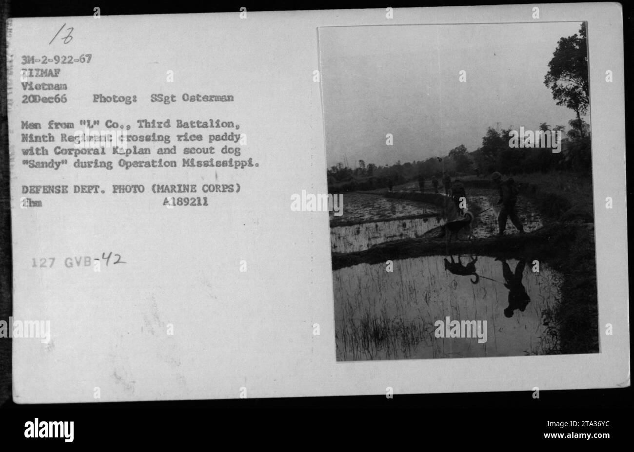 Marines der 'L' Kompanie, drittes Bataillon, Neuntes Regiment ...