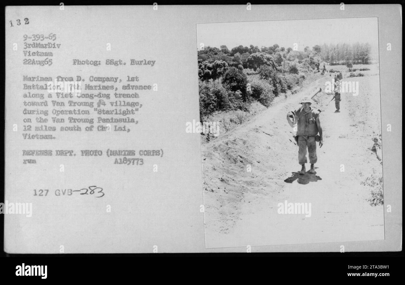 Marines von D. Kompanie, 1. Bataillon, 7. Marines, die während der ...