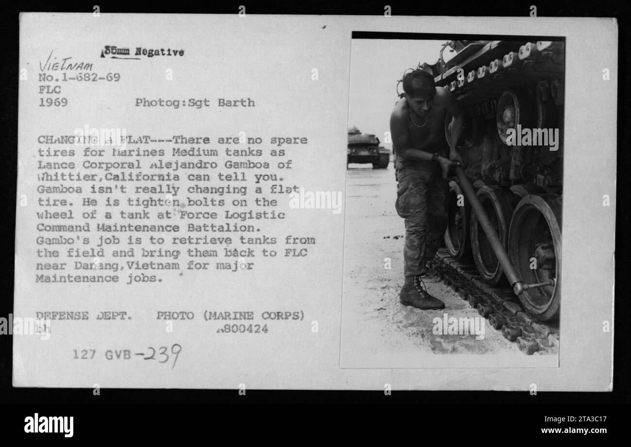 Force logistic command maintenance bataillon -Fotos und -Bildmaterial ...