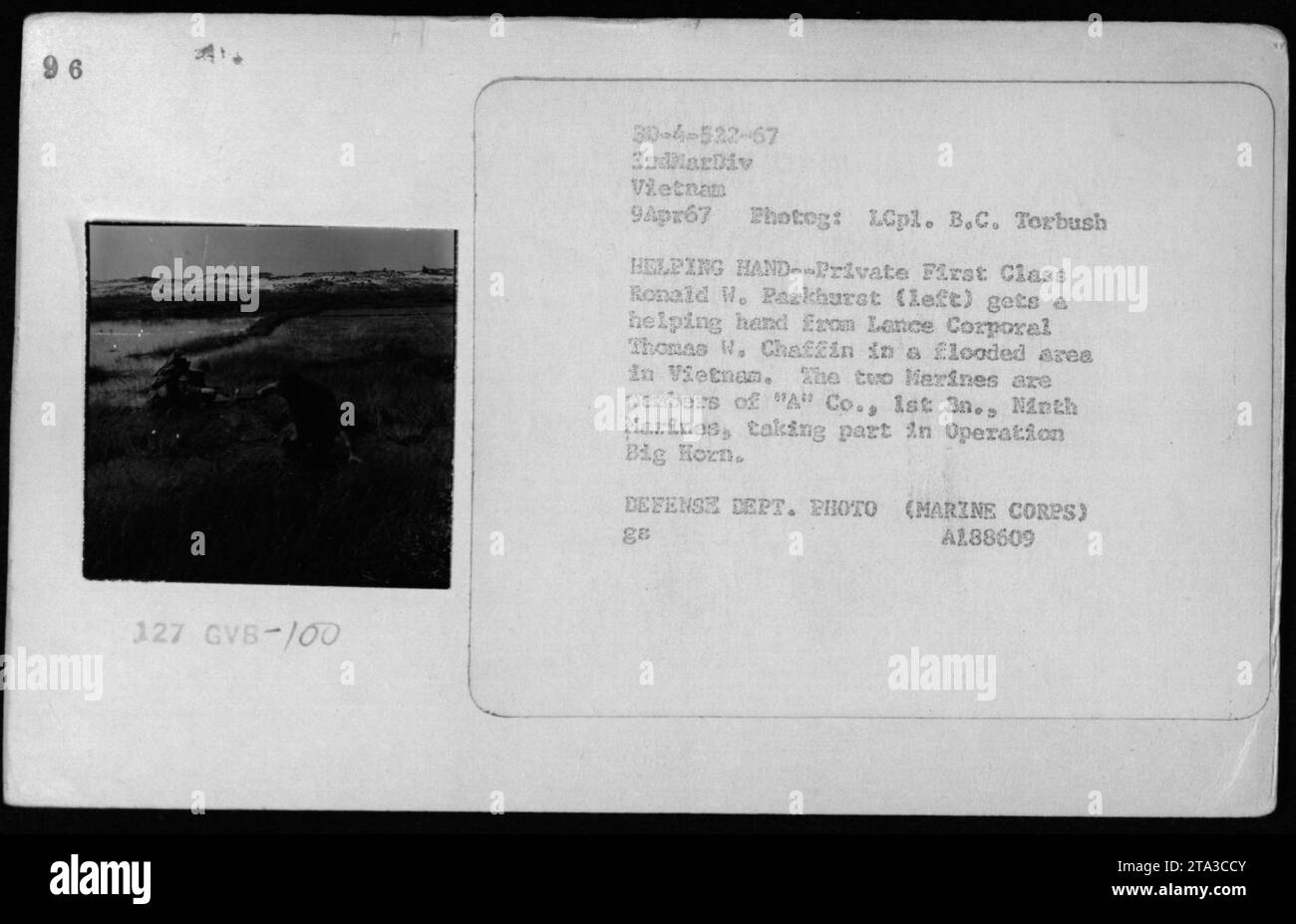 Lance corporal thomas mit chaffin -Fotos und -Bildmaterial in hoher ...