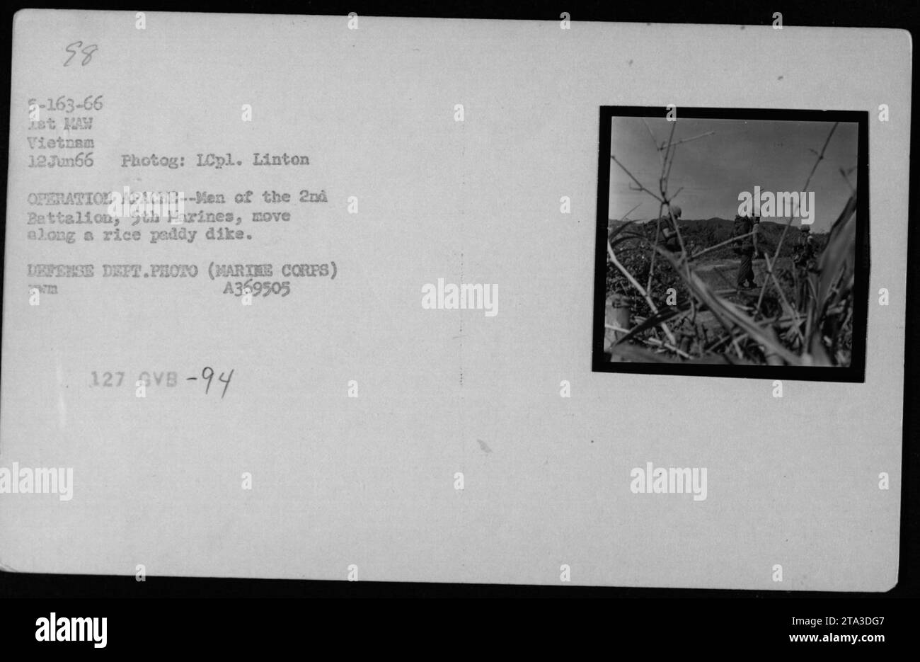 Männer des 2. Bataillons, 5. Marines navigieren während der Operation ...