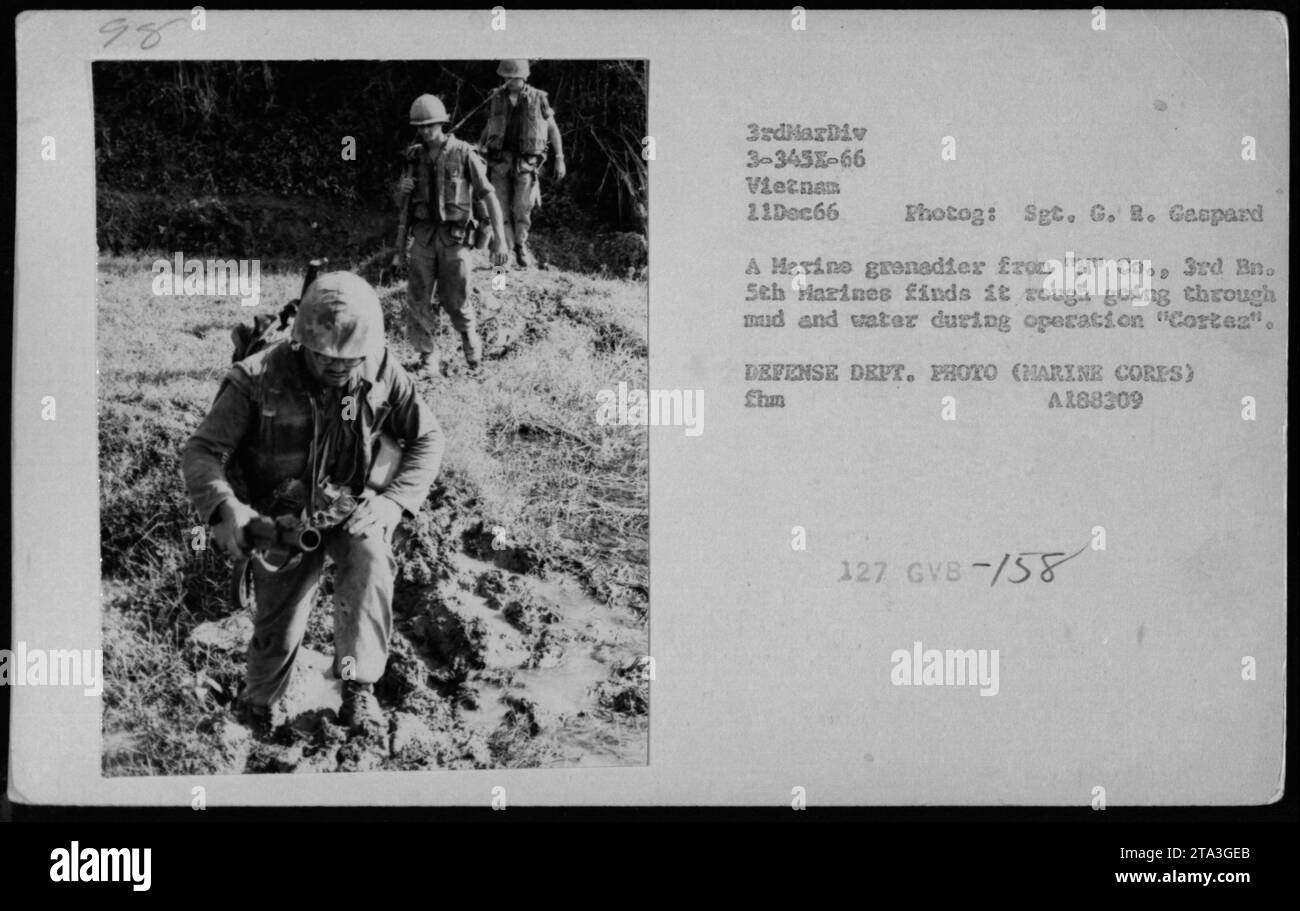 Ein Marine Grenadier der 'H' Kompanie, 3. Bataillon, 5. Marines, kämpft ...