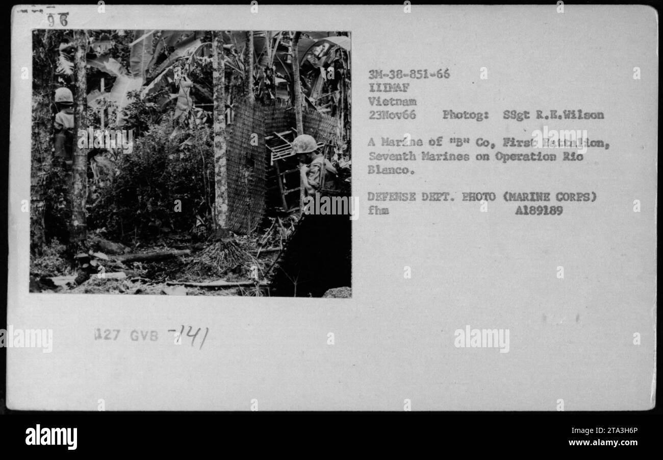 Kampffotos aus dem vietnamkrieg -Fotos und -Bildmaterial in hoher Auflösung – Alamy