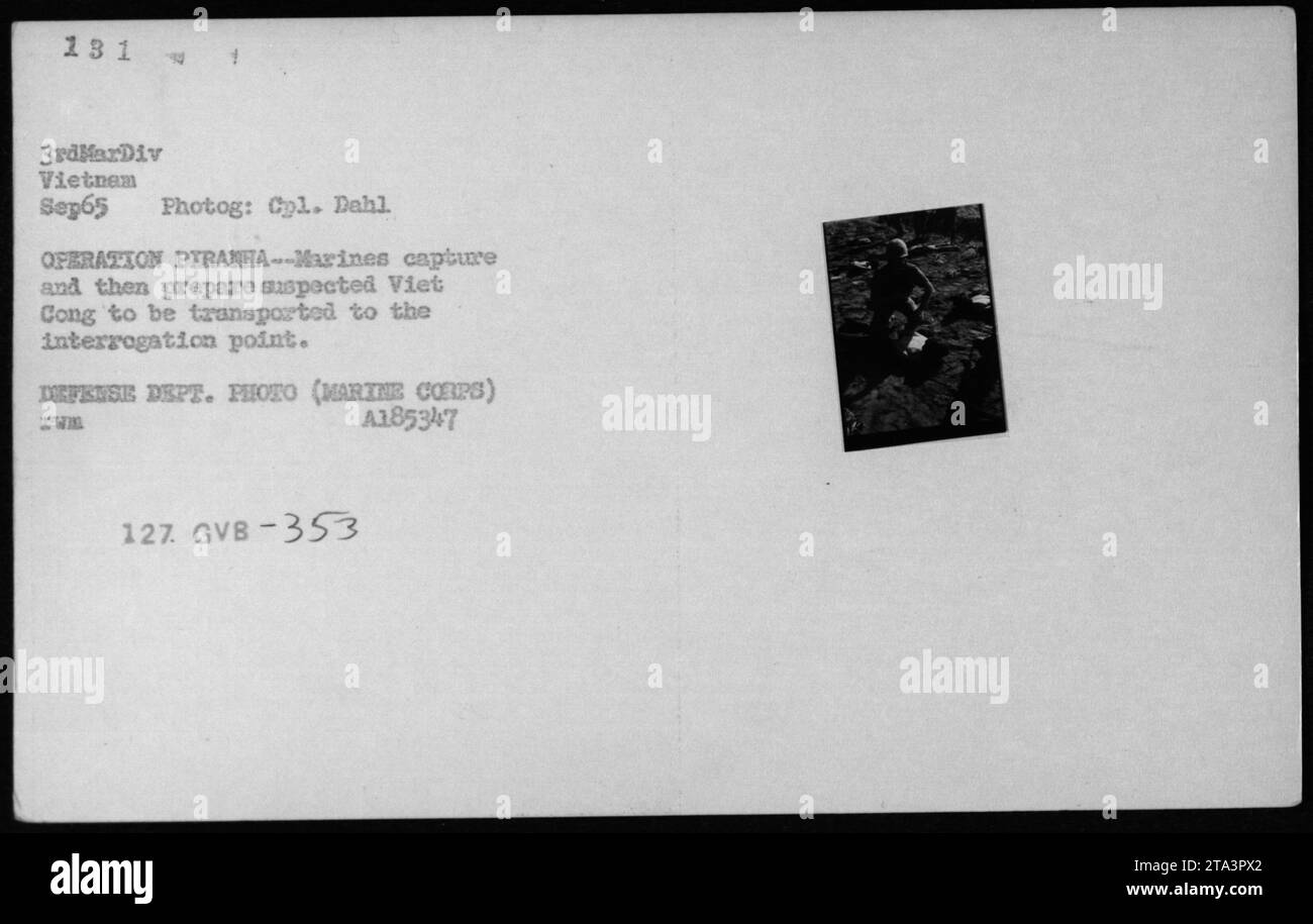 Verdacht auf vietcong -Fotos und -Bildmaterial in hoher Auflösung – Alamy