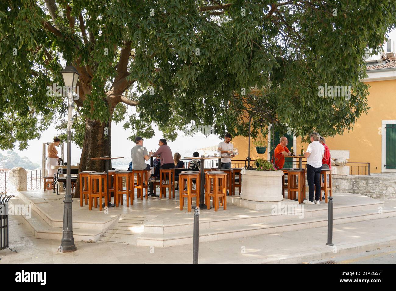 Eine kleine Gruppe von Menschen sitzt unter einem Baum in der Café-Bar ...
