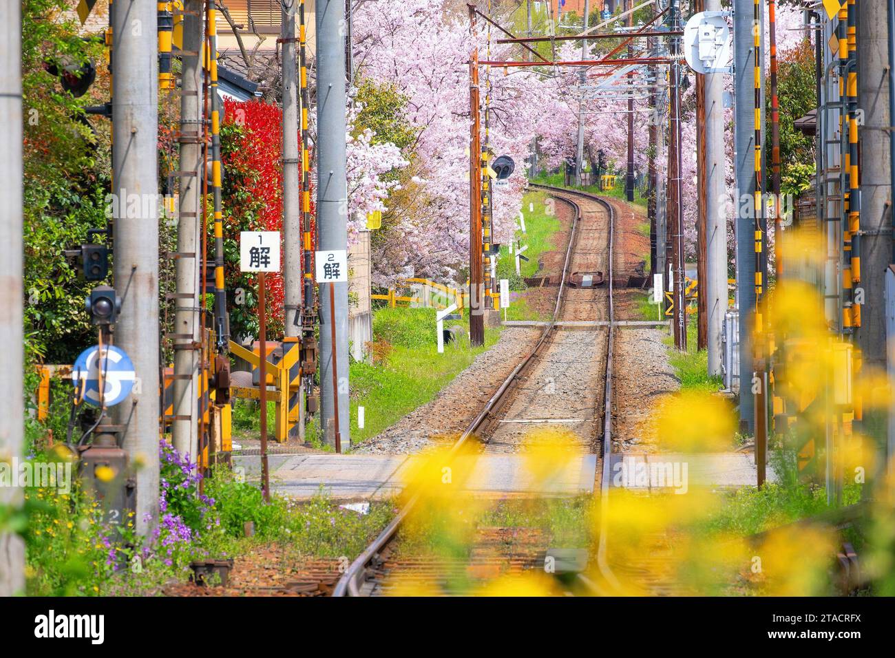 Kyoto, Japan – März 31 2023: Die Keifuku Tram wird von der Keifuku ...