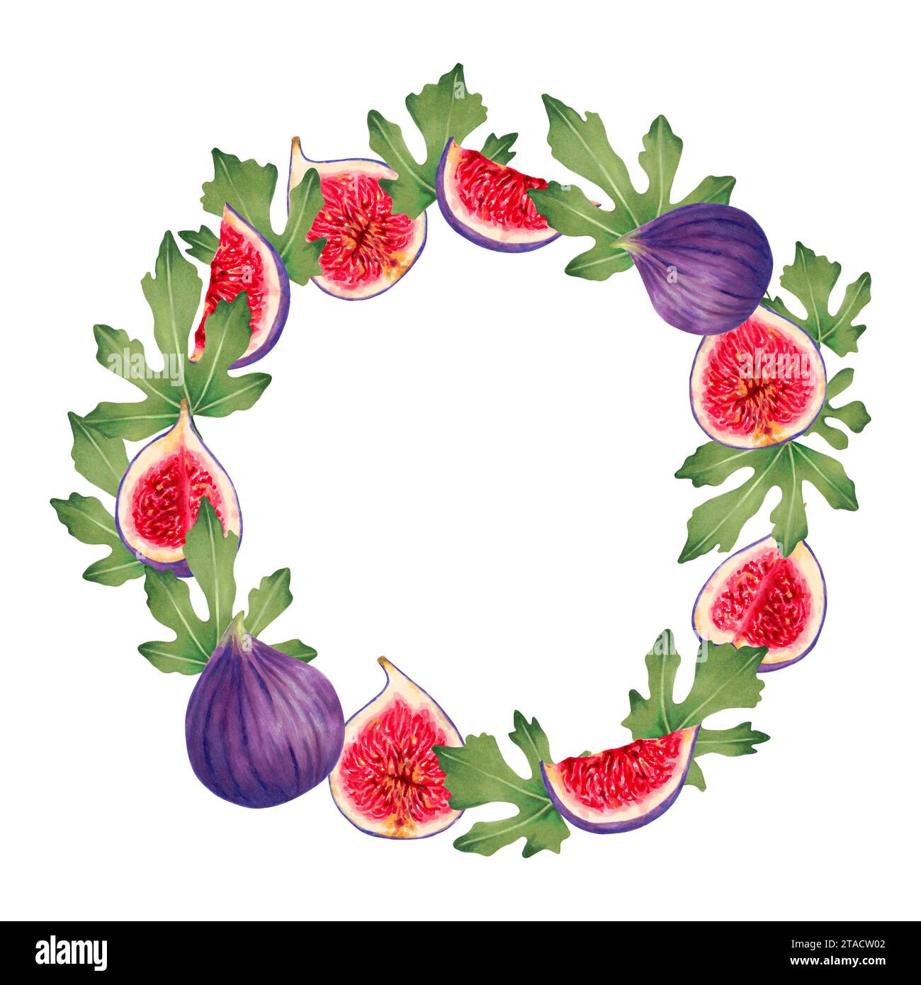 Runde lila frucht -Fotos und -Bildmaterial in hoher Auflösung – Alamy