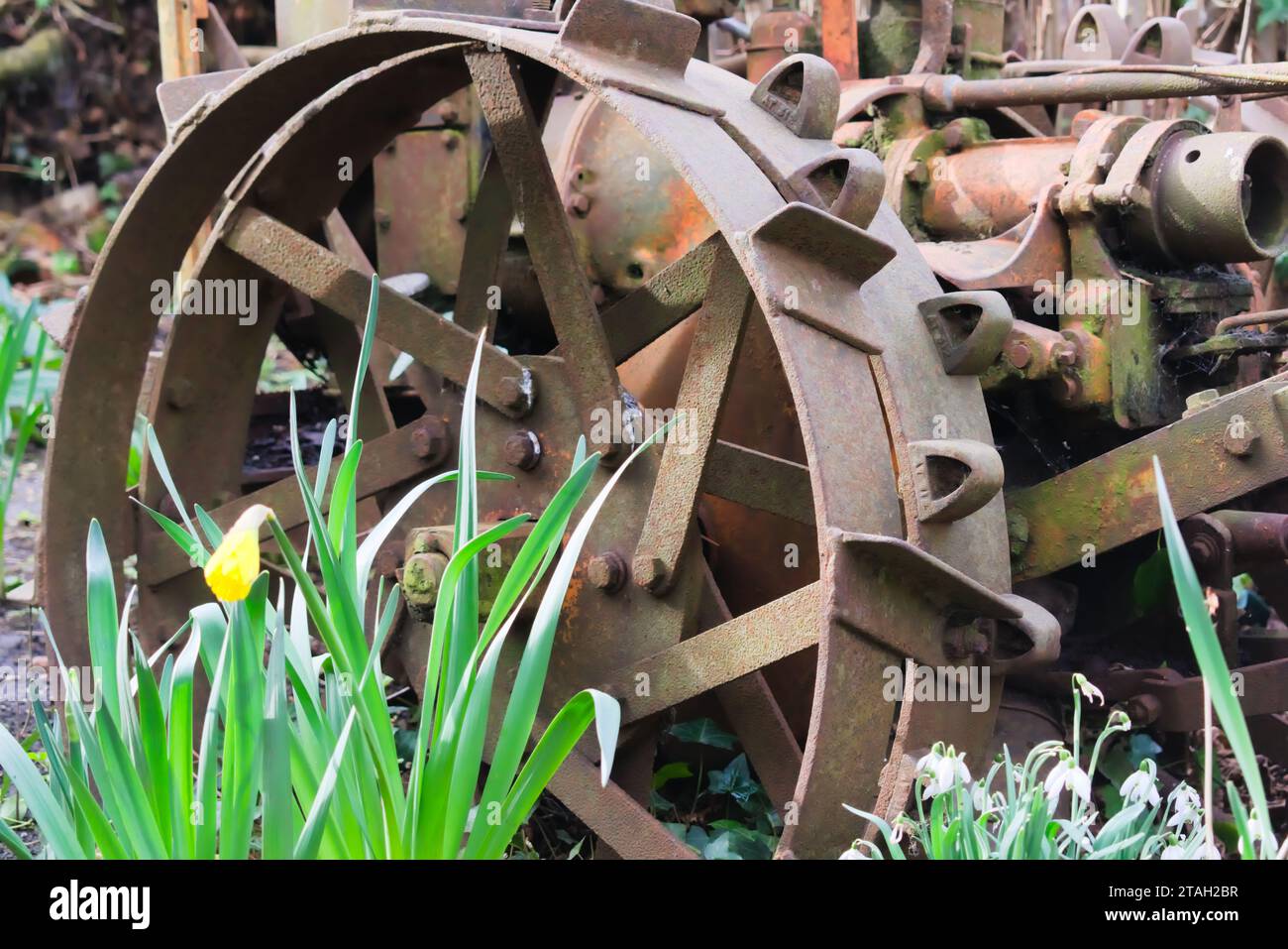 Iron horse -Fotos und -Bildmaterial in hoher Auflösung – Alamy