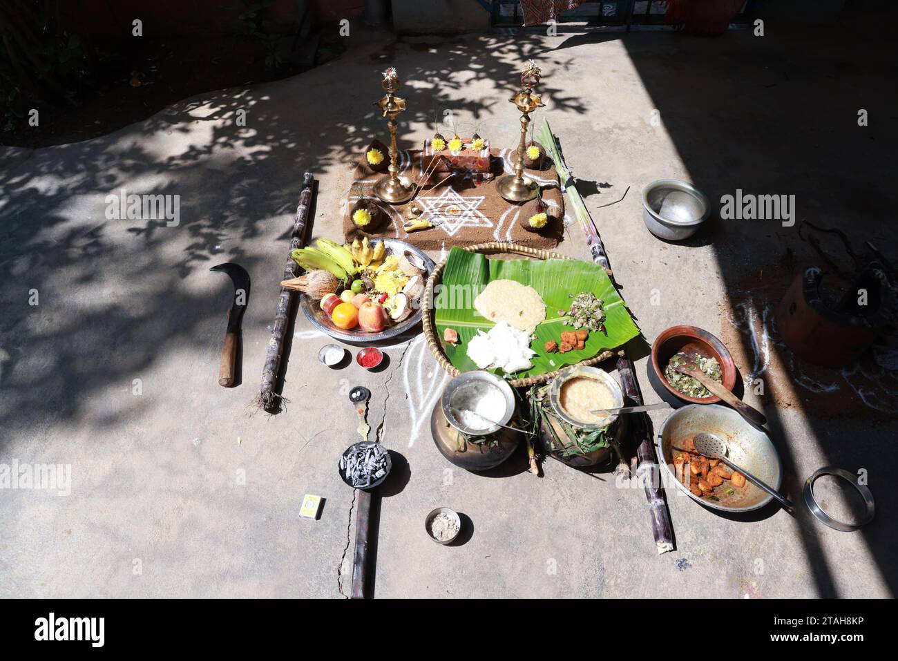 Pongal poo -Fotos und -Bildmaterial in hoher Auflösung – Alamy
