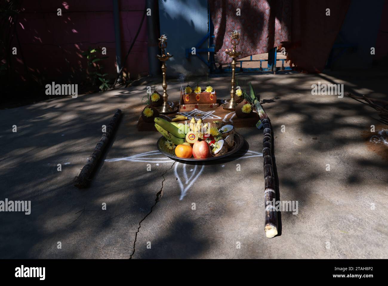 Pongal poo -Fotos und -Bildmaterial in hoher Auflösung – Alamy